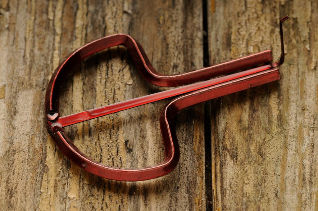 Drumla – poręczny instrument o ogromnych możliwościach - Interaktywna.pl