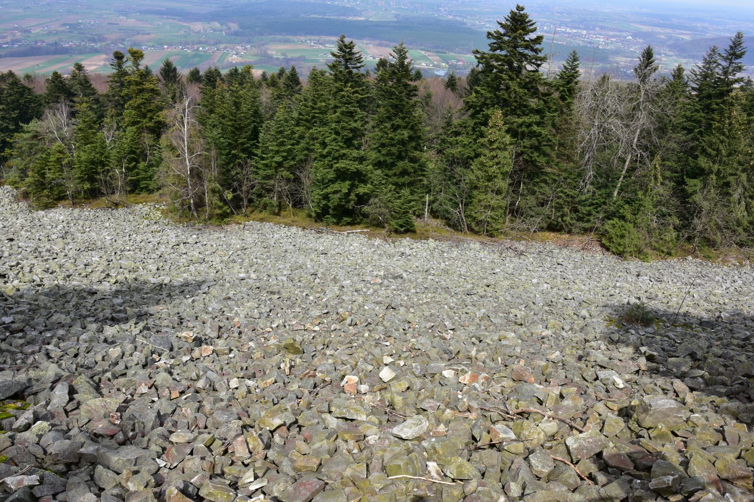 Co zobaczyć w Górach Świętokrzyskich? - Interaktywna.pl